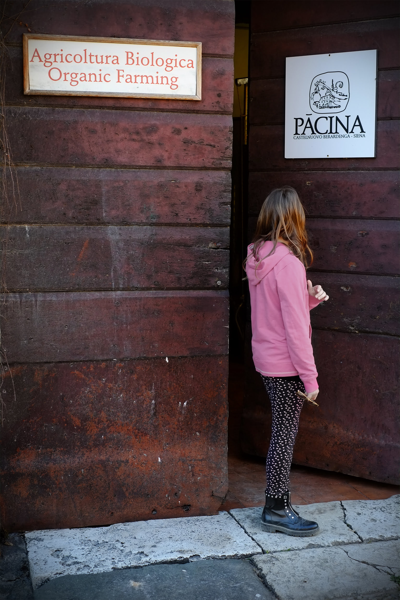 Pàcina, il suo vino, i suoi custodi | GranoSalis